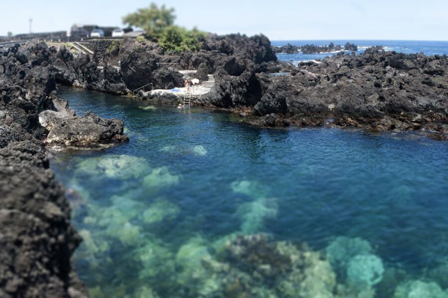 Terceira Island: Half-Day 4X4 Tour - Frequently Asked Questions (FAQs)