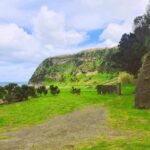 Terceira Island Half Day Hiking Trail: Baías da Agualva - The Itinerary: What You Can Expect