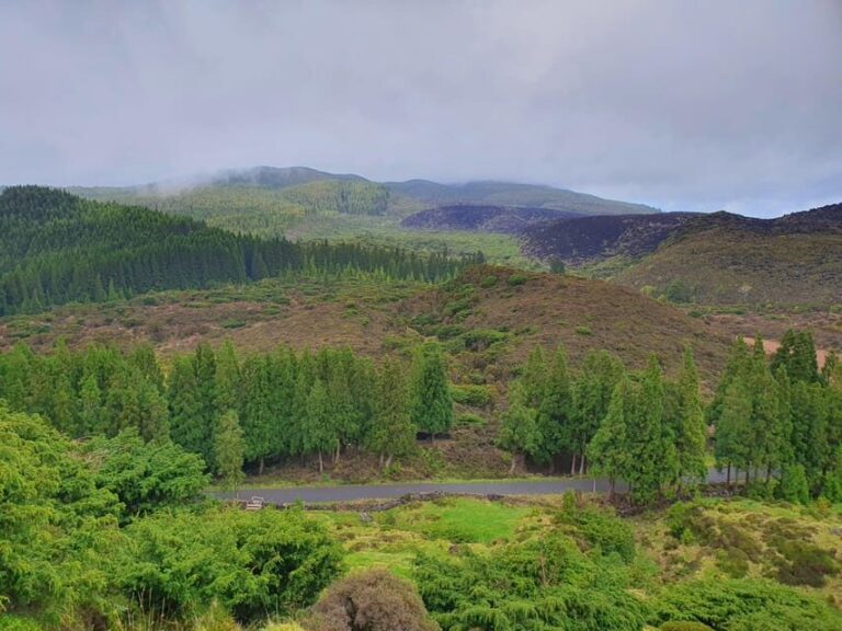 Terceira Island Half Day Hiking Trail: Mistérios Negros - The Cloud Forest Experience