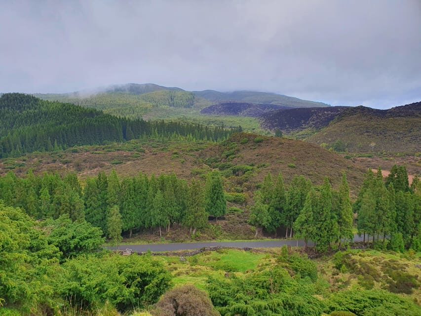 Terceira Island Half Day Hiking Trail: Mistérios Negros - The Cloud Forest Experience