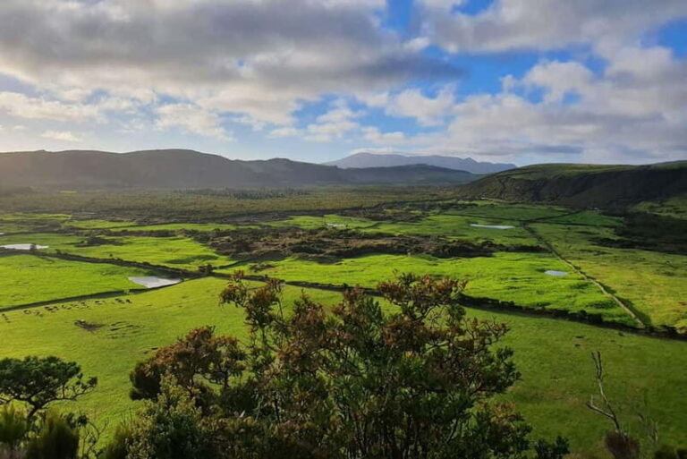 Terceira Island: Half-Day Hiking with Cheese Tasting - Who Should Consider This Tour?