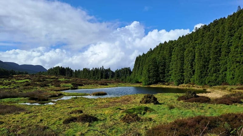 Terceira Island: Highlights Tour with Traditional Lunch - Why This Tour Offers Great Value