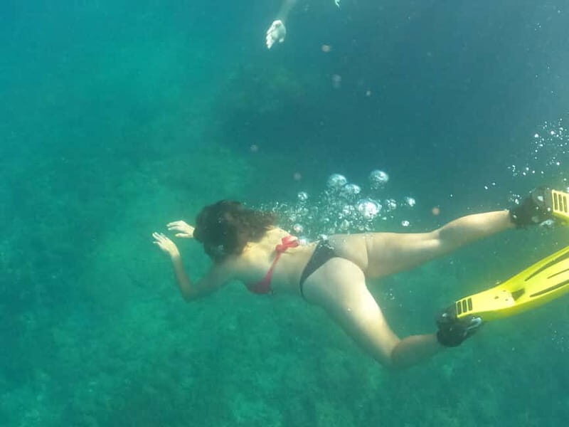 Terceira Island: Ilhéu das Cabras Boat Tour + Snorkeling - Who Will Love This Tour?