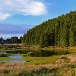 Terceira Island: Mistérios Negros Hiking - An In-Depth Look at the Mistérios Negros Hiking Experience