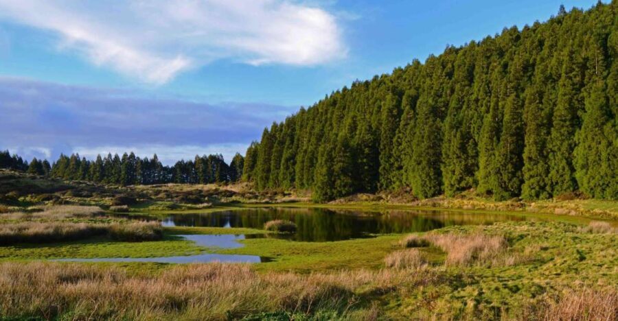 Terceira Island: Mistérios Negros Hiking - An In-Depth Look at the Mistérios Negros Hiking Experience