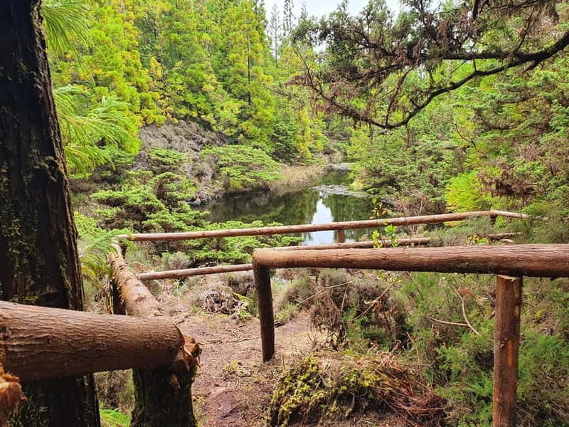Terceira Island: Mistérios Negros & Mist. Novo Hike w/picnic - The Itinerary in Detail: What You Can Expect
