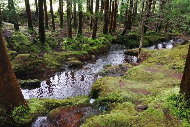 Terceira Island Transfers | Azores - Key Points