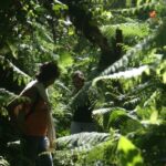 Terceira Island Whale Watching and Jeep Tour - Who Should Consider This Tour?