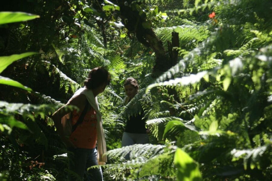 Terceira Island Whale Watching and Jeep Tour - Who Should Consider This Tour?