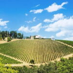 Terricciola Valdera E-Bike Tour + Wine Tasting, Photo Shoot - Why This Tour Works Well