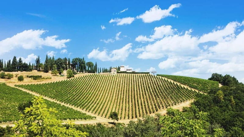 Terricciola Valdera E-Bike Tour + Wine Tasting, Photo Shoot - Why This Tour Works Well