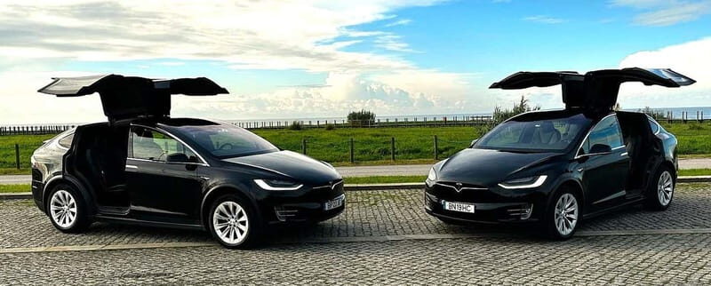 Tesla Premium Private Tours - Porto to Douro Valley - Details and Practical Tips