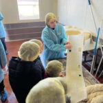 The Art of Parmigiano Reggiano & Aged Balsamic Vinegar - Top Key Points