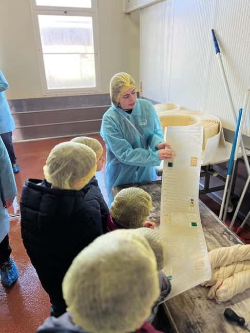 The Art of Parmigiano Reggiano & Aged Balsamic Vinegar - Top Key Points