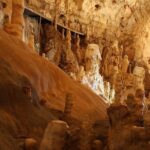The Bear's Cave - One-Day Air conditioned car Tour from Oradea - Final Words