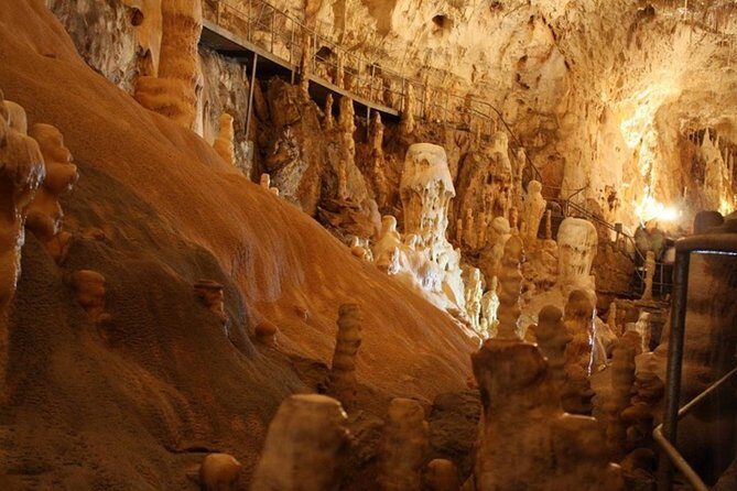 The Bear's Cave - One-Day Air conditioned car Tour from Oradea - Final Words