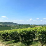The Best of the Langhe: Wine Tasting & Traditional Meal - Practical Details and Considerations