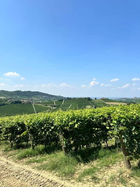 The Best of the Langhe: Wine Tasting & Traditional Meal - Practical Details and Considerations