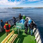 The Bird Safari Tour - Authenticity and Practicalities