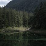 The Enchanting Green Lake: Private Tour in the Austrian Alps - The Drive from Vienna to Green Lake