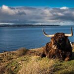 The Glory of Ross - An Authentic Highland Journey through Wester Ross