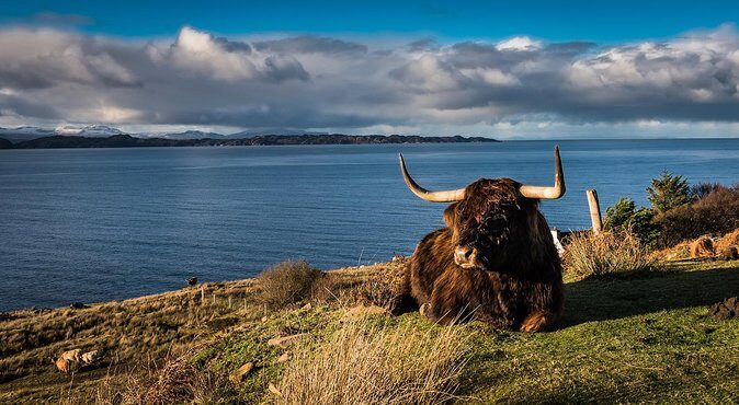 The Glory of Ross - An Authentic Highland Journey through Wester Ross