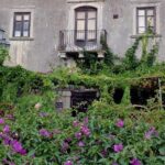 The Godfather Movie Locations Private Tour in Sicily - The Practicalities — What to Expect