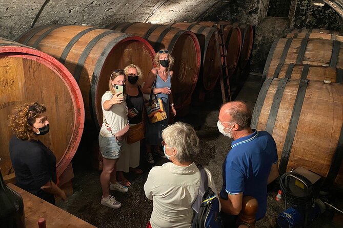 The Grand tour of Valpolicella: 2 Wineries, Lunch & Amarone focus - Introduction