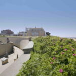 The Hague: Museum Beelden aan Zee Entry Ticket - Final Thoughts: Who Will Love This Experience?