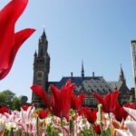 The Hague Walking Tour - What Youll Experience on the Walk