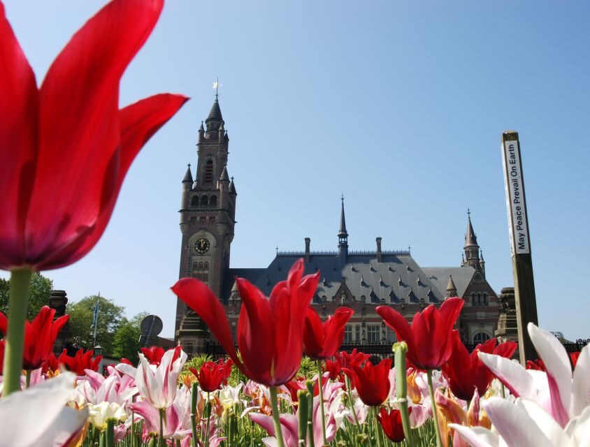 The Hague Walking Tour - What Youll Experience on the Walk