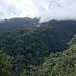 The King's Levada - Levada do Rei - What Makes This Tour Special?