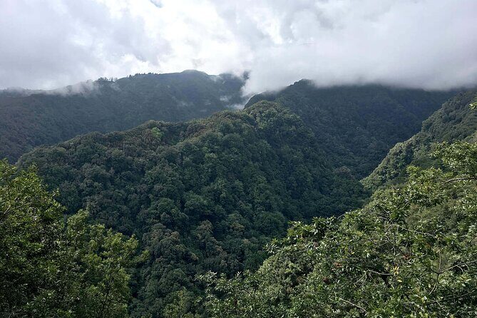 The King's Levada - Levada do Rei - What Makes This Tour Special?