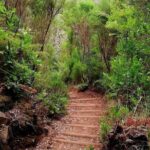 The Lakes Walk - The Itinerary Explored: What to Expect