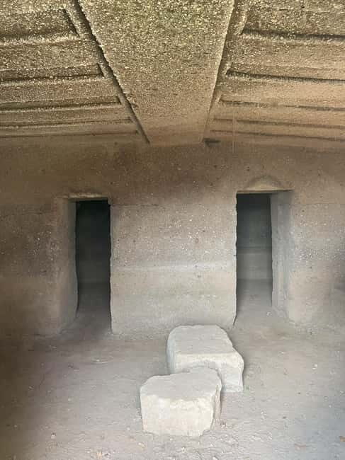 The Lamone Forest: among brigands and charcoal burners - Final Thoughts
