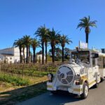 The Little Train of La Londe-les-Maures - Itinerary Breakdown and Highlights