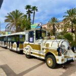 The Little Train of Lavandou's beaches - An Overview of the Experience