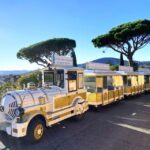 The Little Train of Sainte-Maxime - The Experience: An In-Depth Look