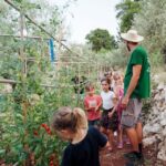 The Olive Oil Experience @ Lefkada Micro Farm - Final Thoughts: Is It Worth It?