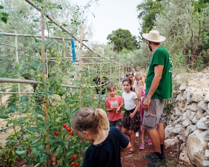 The Olive Oil Experience @ Lefkada Micro Farm - Final Thoughts: Is It Worth It?