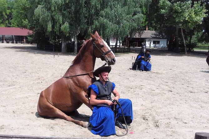 The "Puszta" Horse Show - Introduction: What the Tour Offers