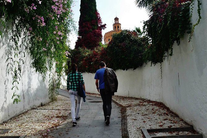 The Scents of Al-Andalus-Private tour - What’s Included and What to Expect