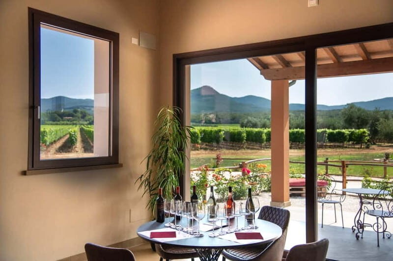 The Selections: visit and tasting in the Bolgheri Doc region - An In-Depth Look at the Experience