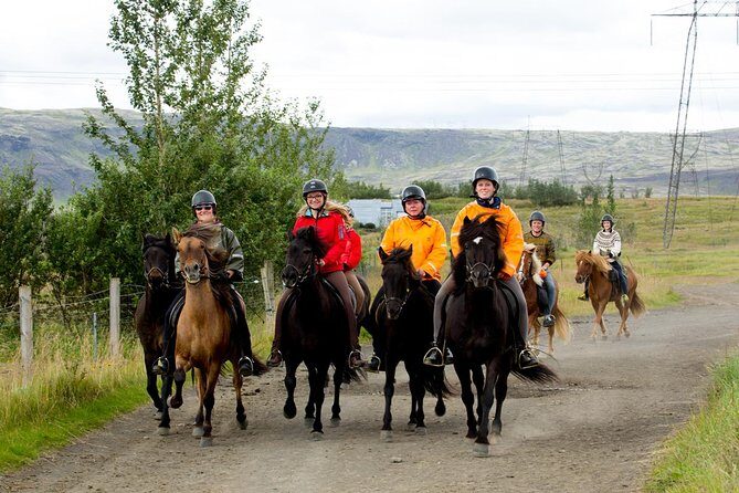 The Siggi Tour from Reykjavík: 1.5 to 2-Hour Ride - Key Points
