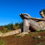 The Six Forgotten Giants Trolls Hunt with Minibus - What to Keep in Mind