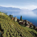 The Swiss Riviera Experience  Exclusive Private Tour - The Sum Up: Who Will Love This Tour?