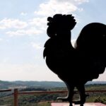 The Taste of Chianti:a Wine and Gourmet Private Tour with a truffle-based lunch - Visiting a Family-Owned Winery for Tasting and Lunch