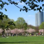 The tour of Riga - one step outside the Old Town - Practical Details and What to Expect