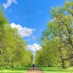 The Ultimate London City Tour - What Travelers Love About This Tour