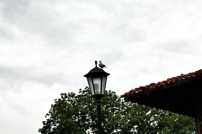 The Ultimate Private Zheravna Walking Tour - Introduction